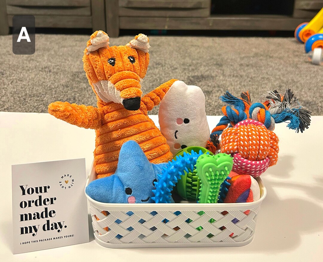 Deluxe Dog Toy Gift Basket: Puppy Welcome, Birthday, or Get Well Soon ...