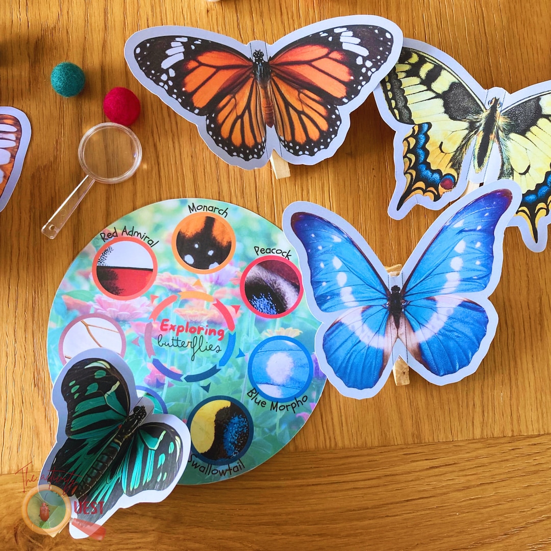 Butterfly Matching Printable, Flapping Butterflies Craft and Patterns ...