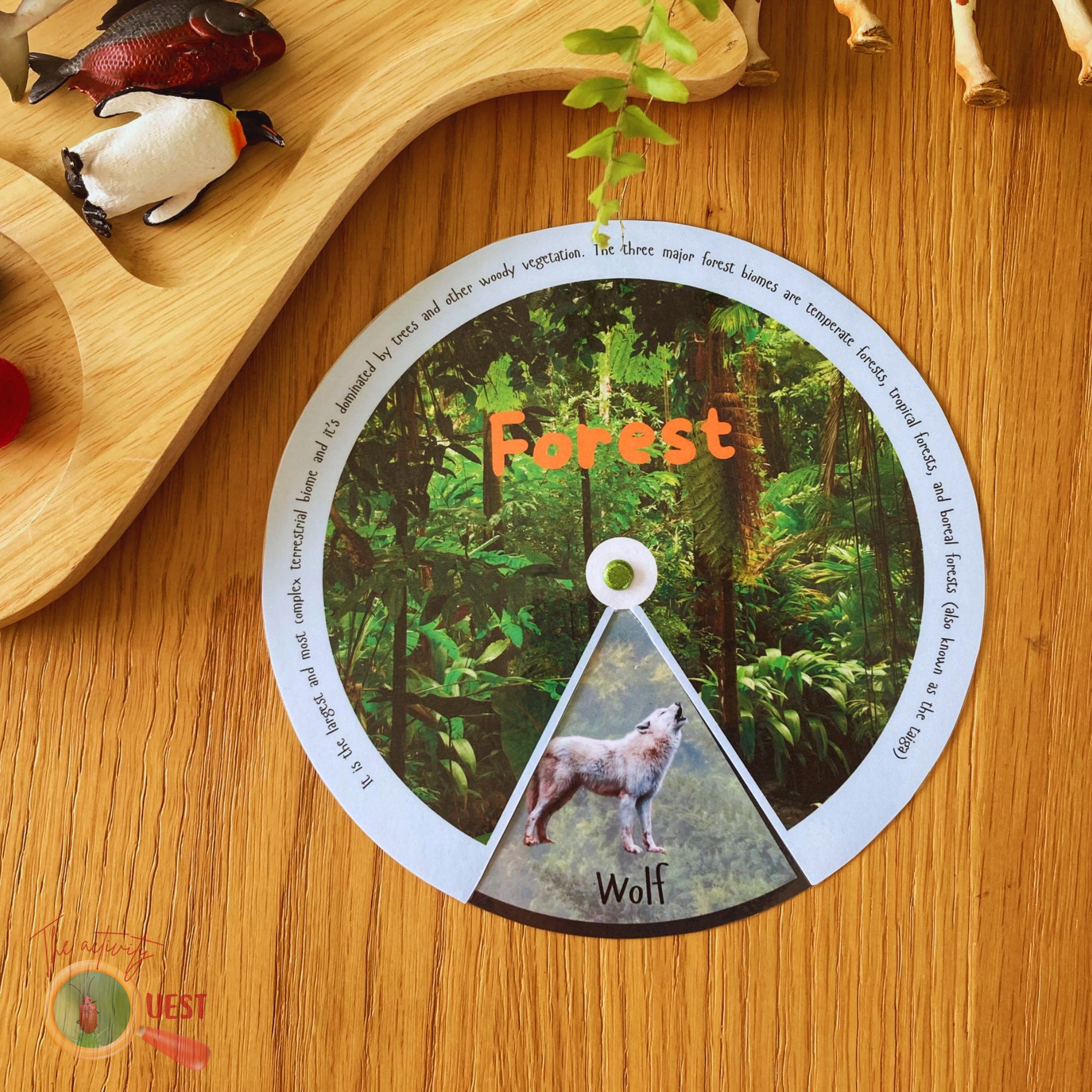 Animal Habitats Learning Wheels Printable, Nature Biomes Animals Disc ...