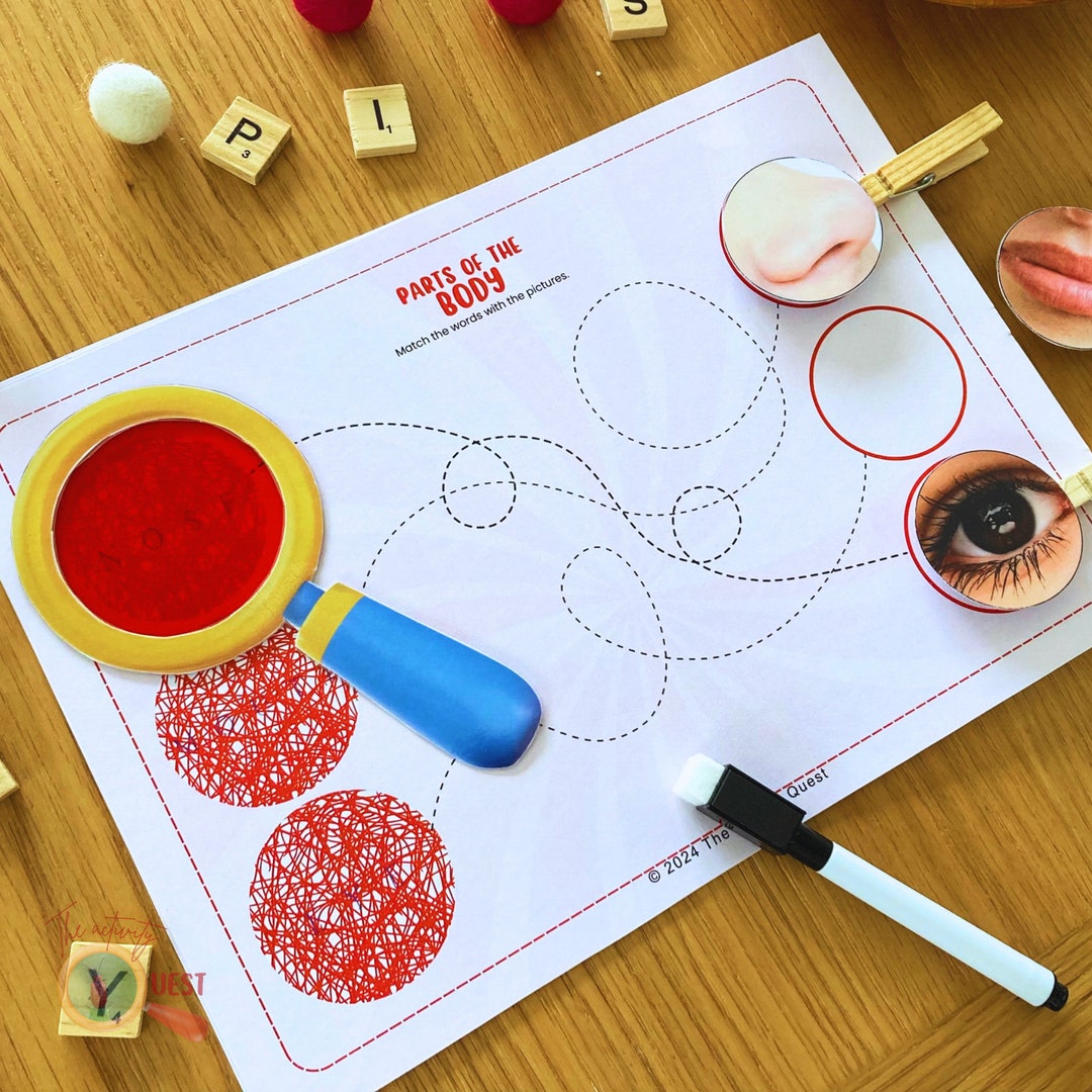 Parts of the Body Secret Reveal Printable, Reading Decoder and Fine ...