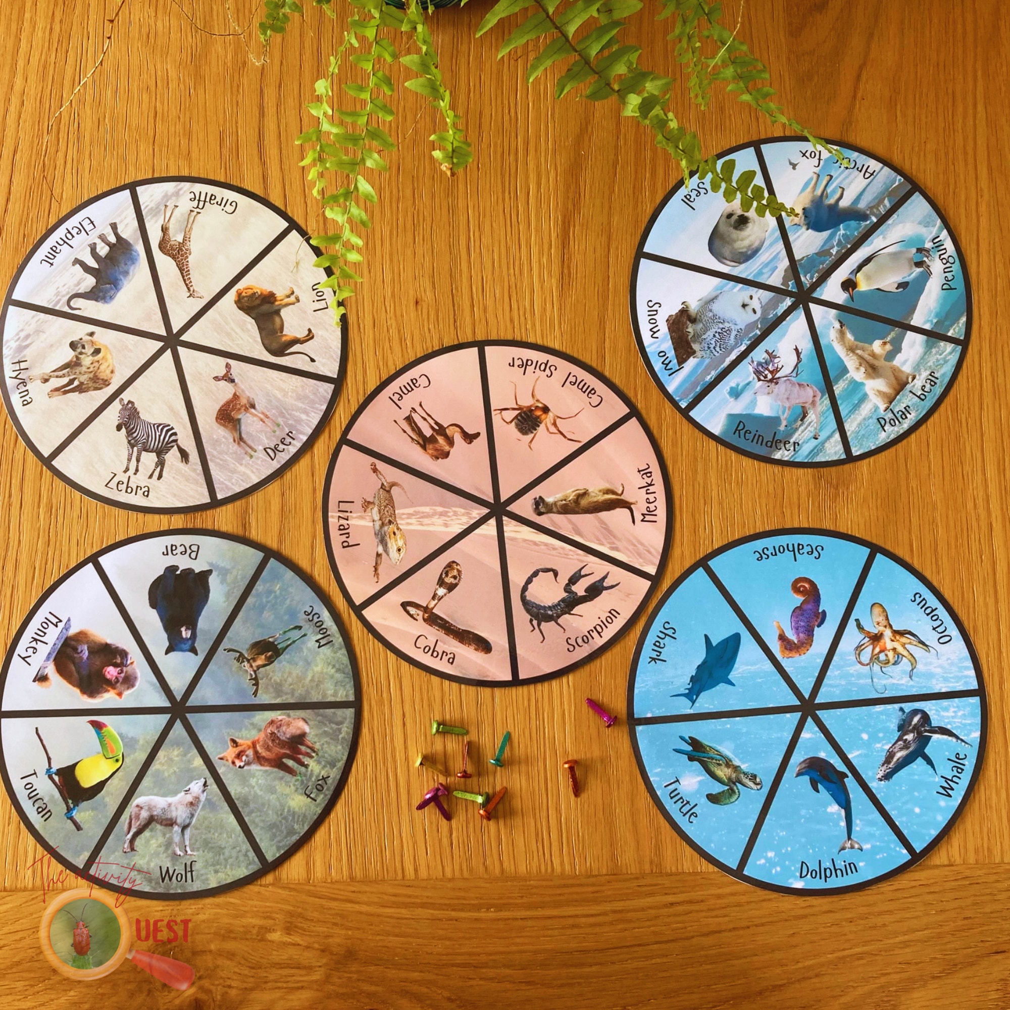 Animal Habitats Learning Wheels Printable, Nature Biomes Animals Disc ...
