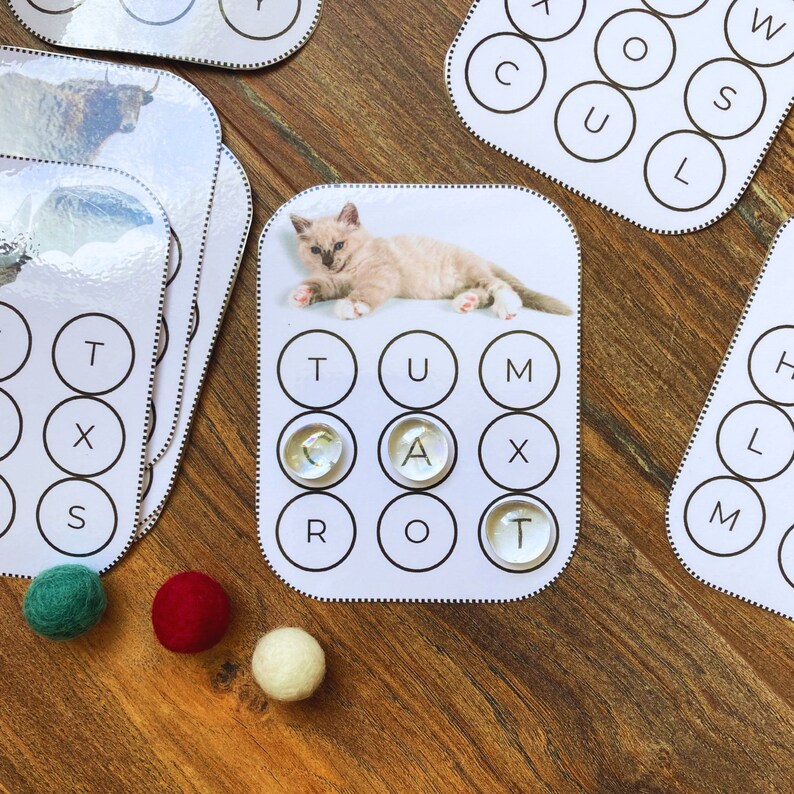 10 CVC Animal Words Cards, Learning Alphabet Activity Prek and ...