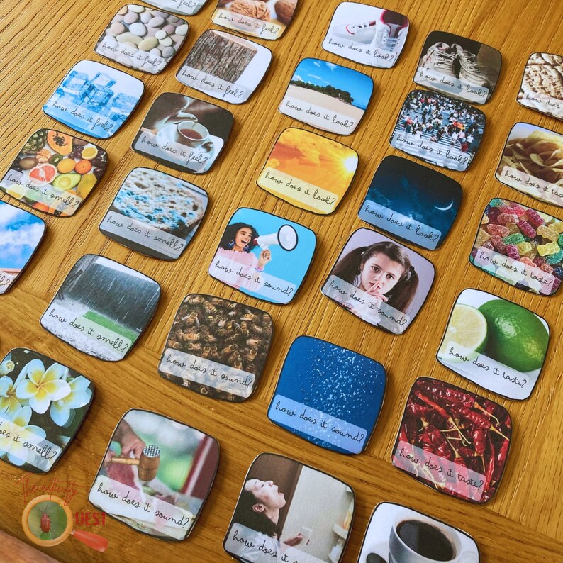 5 Senses Sorting Printable Activity, Five Sight, Hearing, Taste, Touch ...