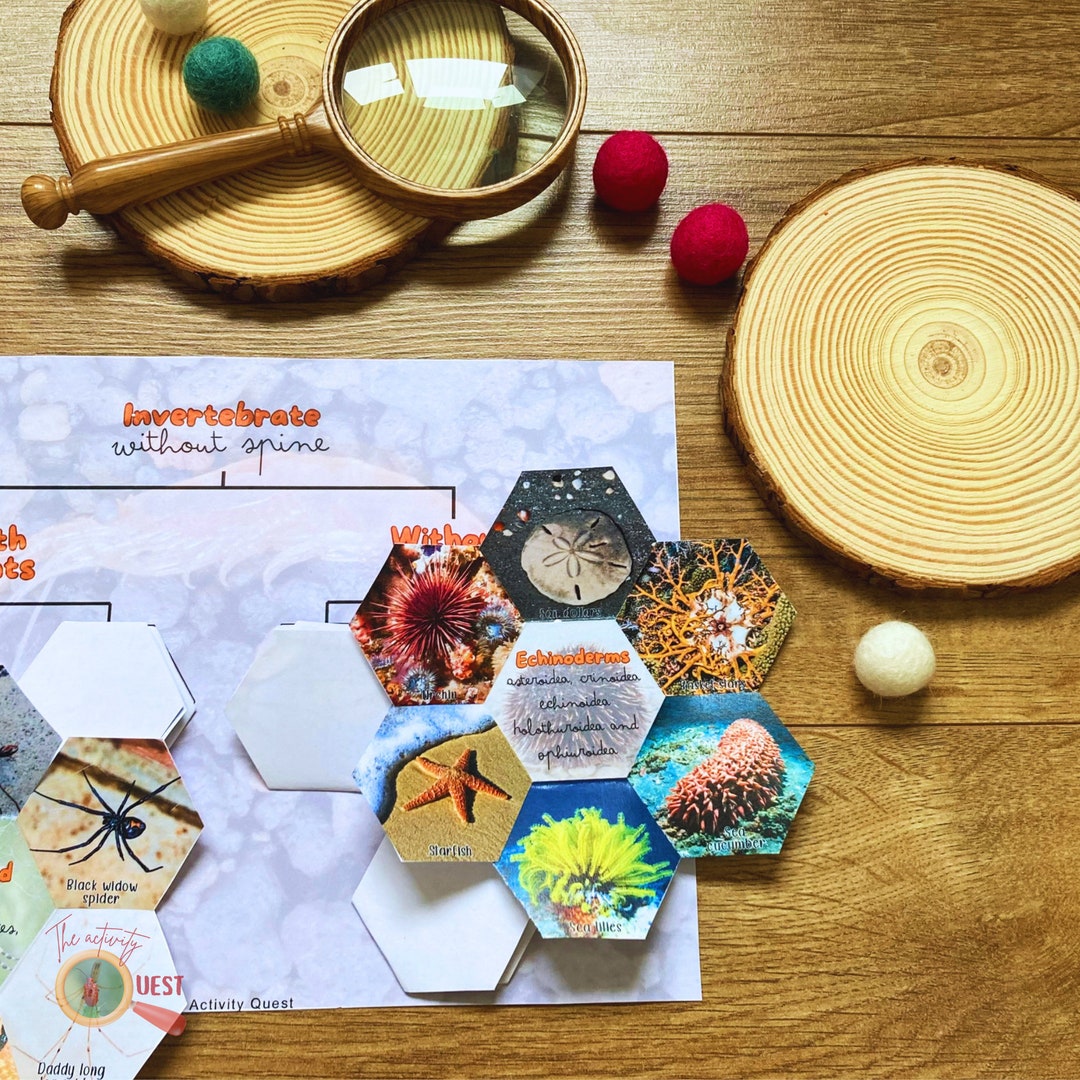 Animal Kingdom Classification Printable Activity for Kids, 11 ...