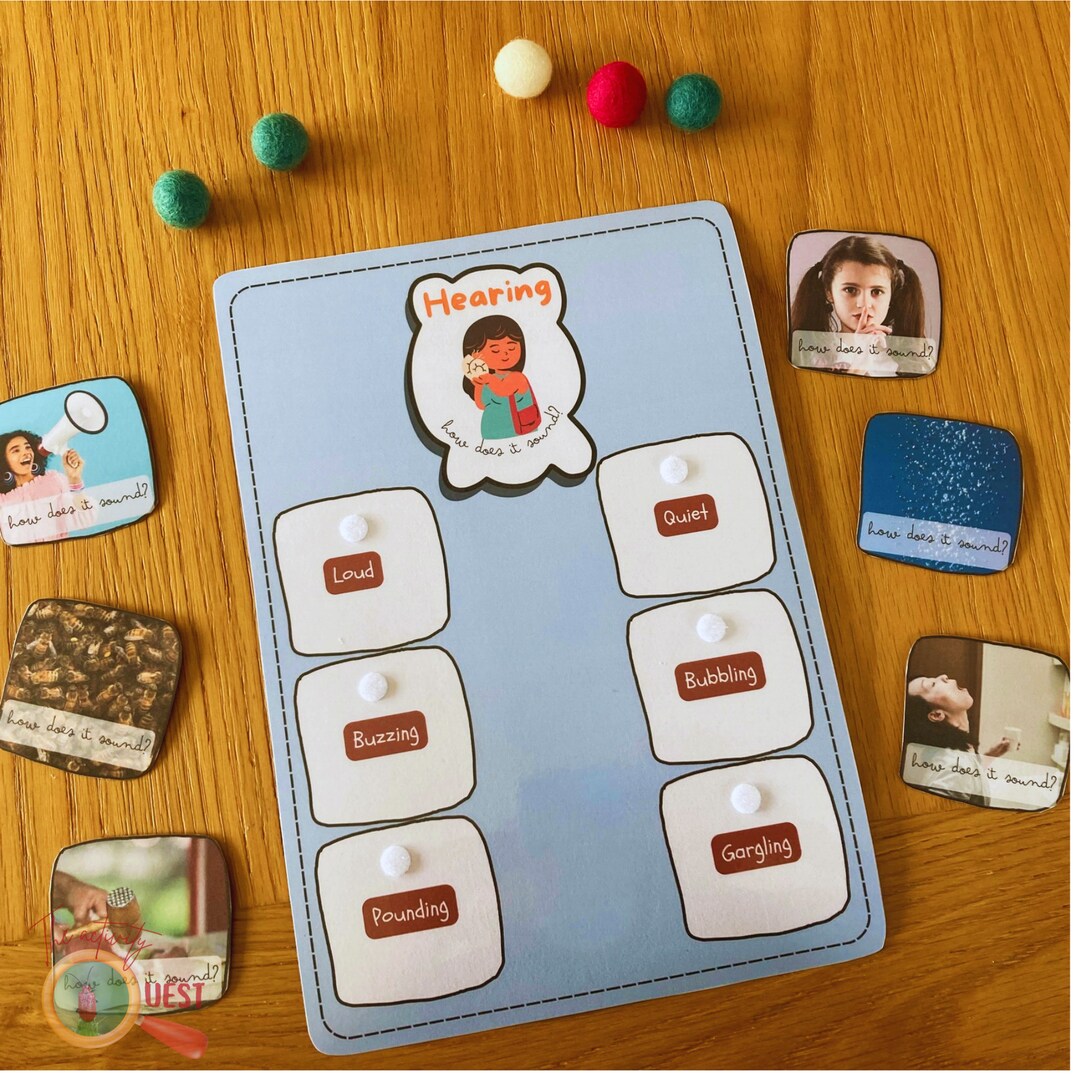 5 Senses Sorting Printable Activity, Five Sight, Hearing, Taste, Touch ...