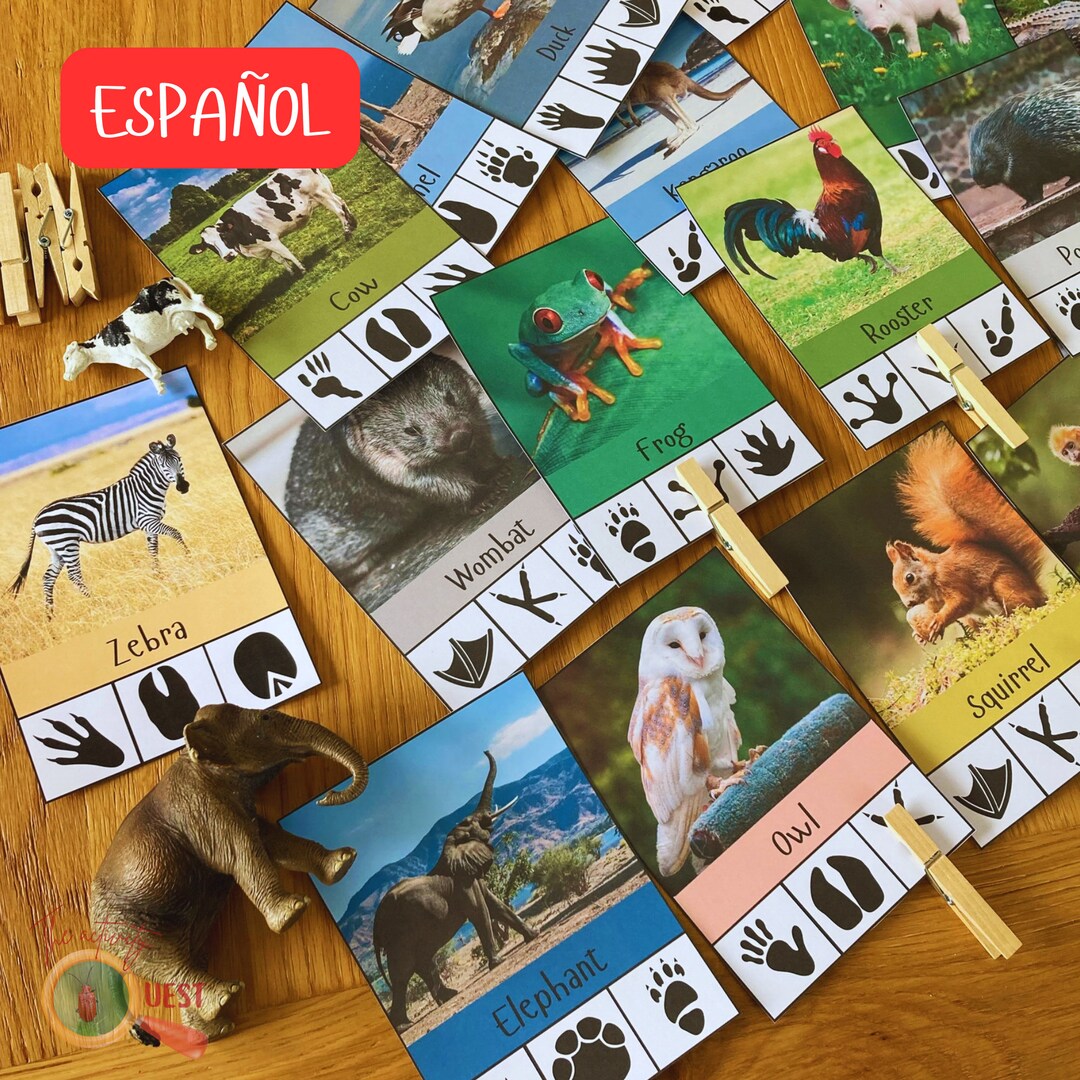 20 Animal Footprints Clip Cards Spanish Printable, Nature Tracks ...