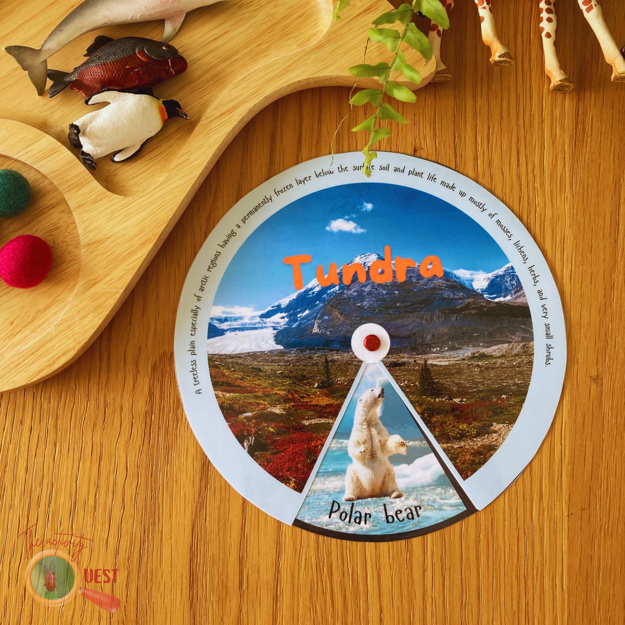 Animal Habitats Learning Wheels Printable, Nature Biomes Animals Disc ...