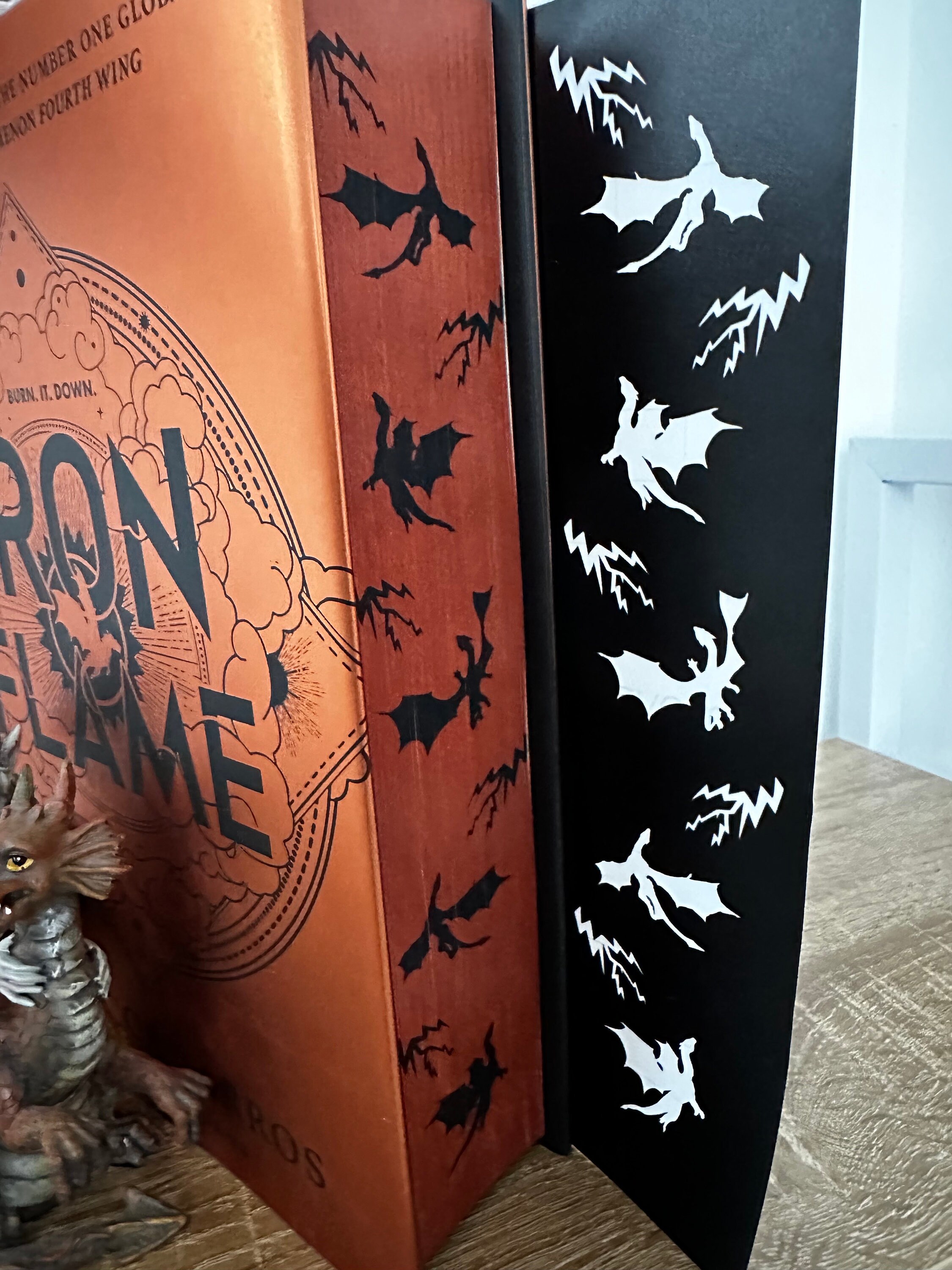 Book Stencil for Unique Stenciled Edge Dragons&lightning rebecca Yarros ...