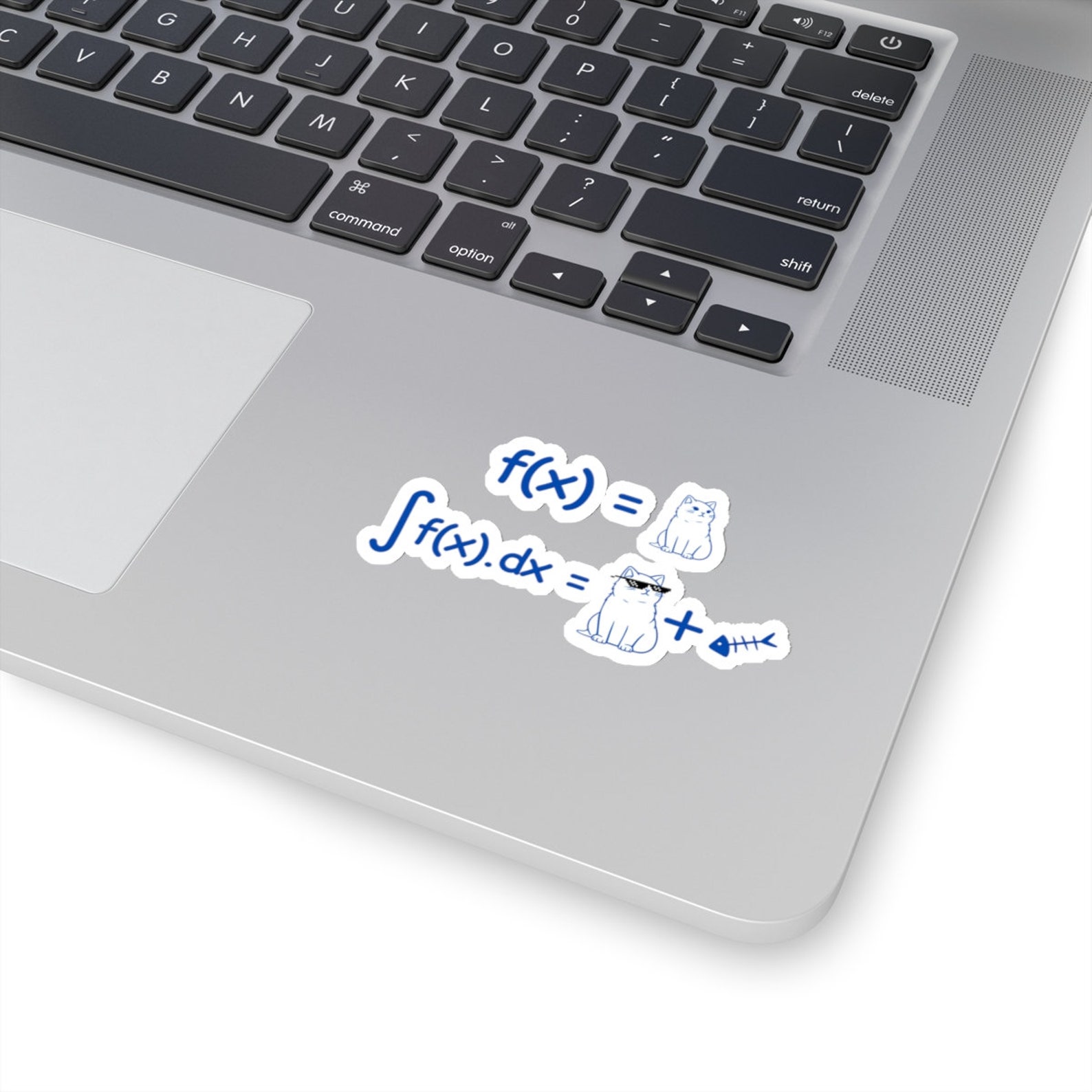 Math Integral Funny Sticker Decal, Laptop Stickers, Tumbler Stickers ...