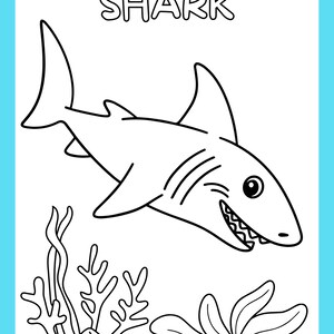 Sea Animals Coloring Pages for Kids –24 Printable, Fun & Educational ...