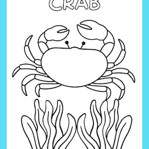 Sea Animals Coloring Pages for Kids –24 Printable, Fun & Educational ...