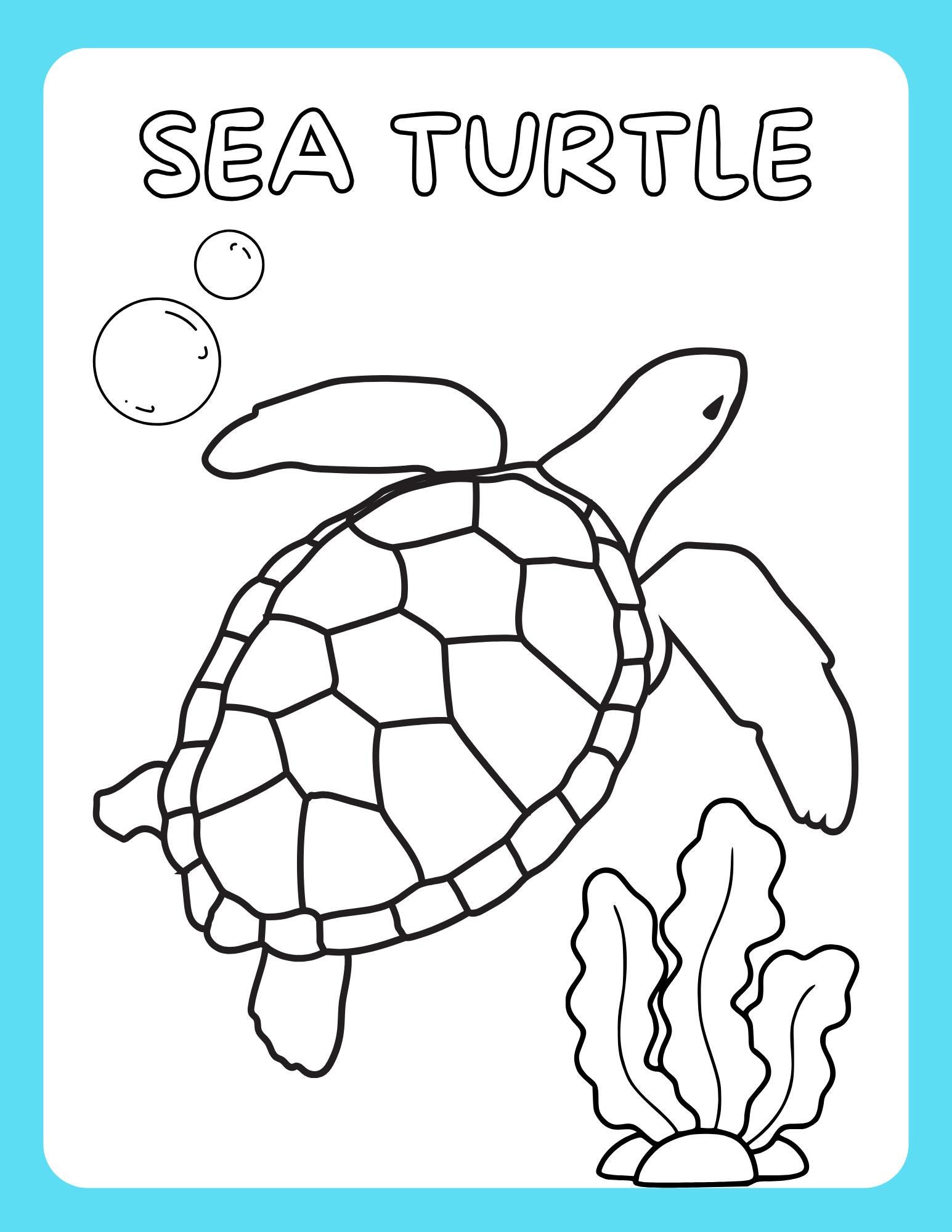 Sea Animals Coloring Pages for Kids –24 Printable, Fun & Educational ...