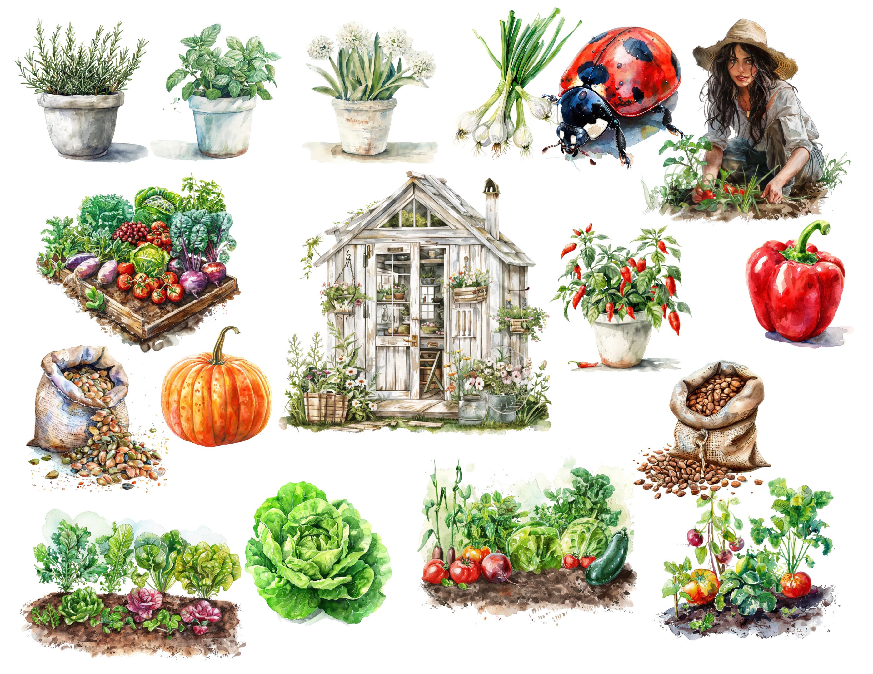 Watercolor Clipart Garden - Etsy
