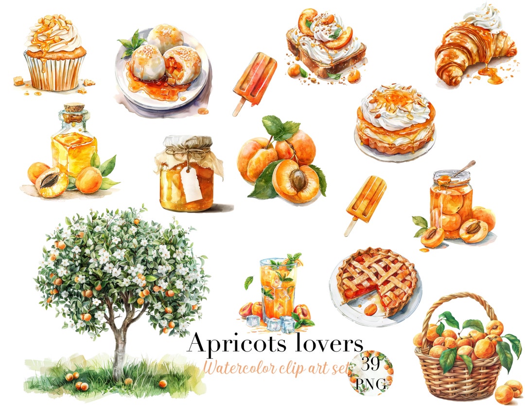 Apricots Watercolor Clipart: Fruit Stickers, Scrapbooking (PNG) - Etsy