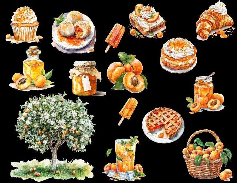 Apricots Watercolor Clipart: Fruit Stickers, Scrapbooking (PNG) - Etsy