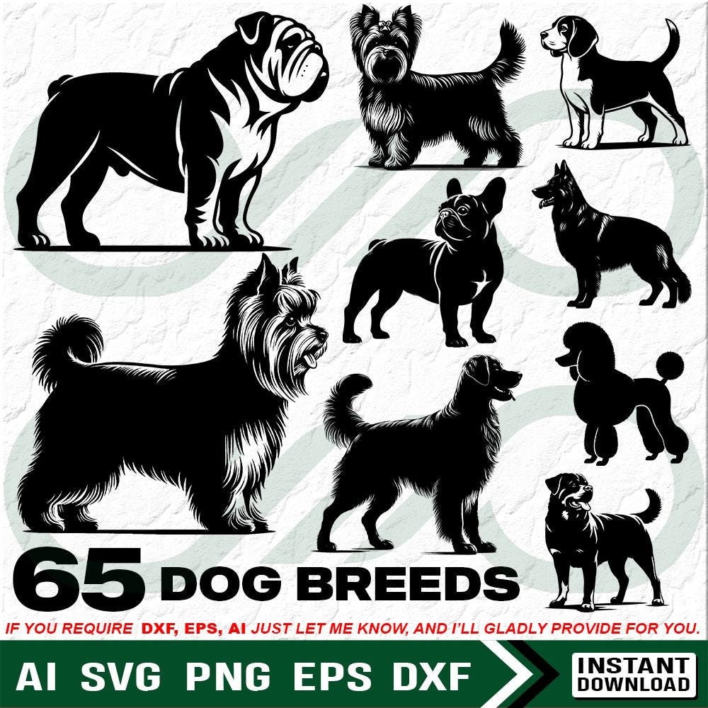 Dog Breed Svg Png Bundle, Dog Breed Svg Files for Cricut, Svg Dog Files ...