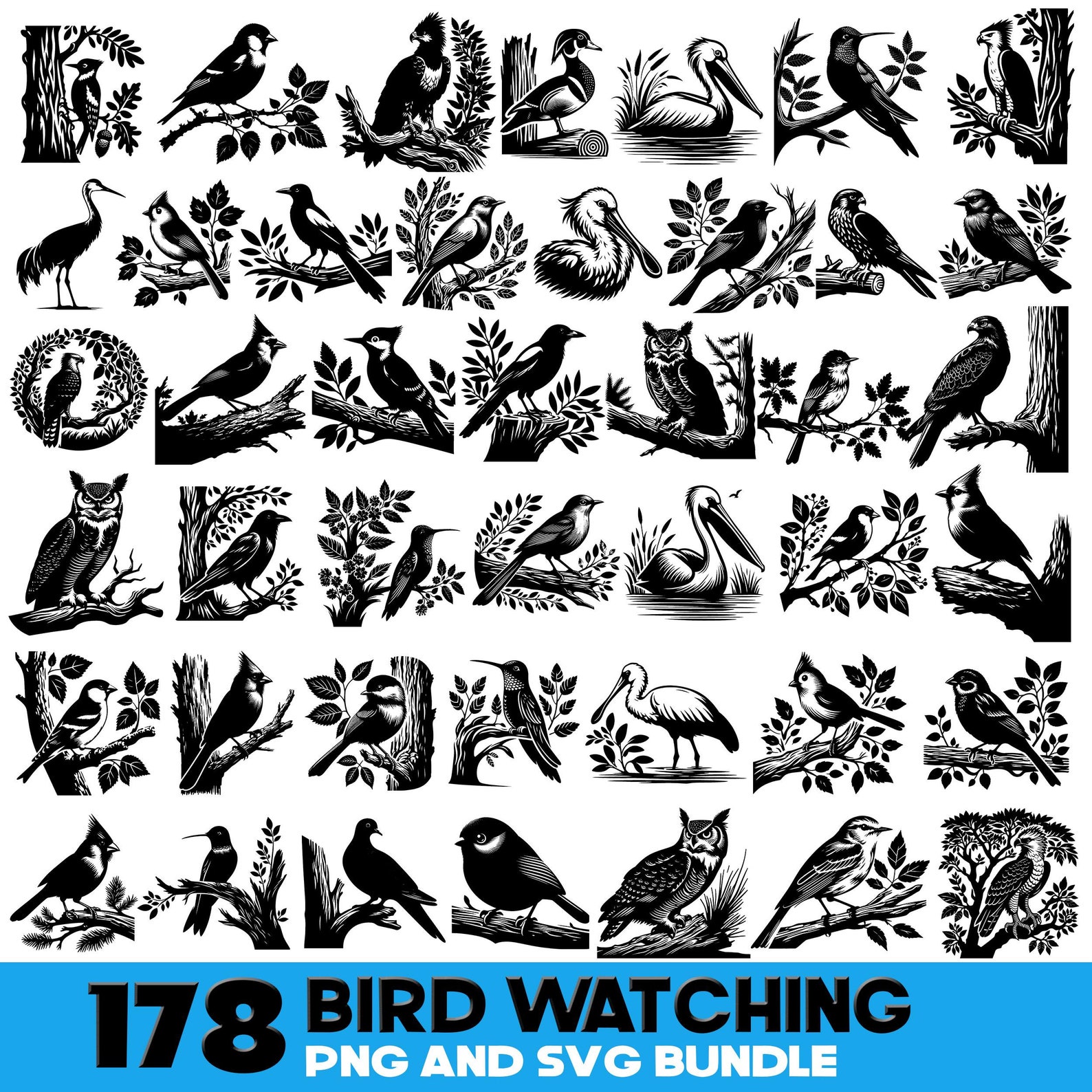 Bird Svg Bundle, Bird Silhouette, Bird Watching Design, Bird Svg Files ...