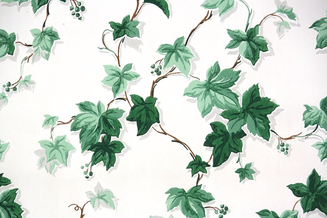 1940s Vintage Wallpaper by the Yard Green Ivy on White - Etsy