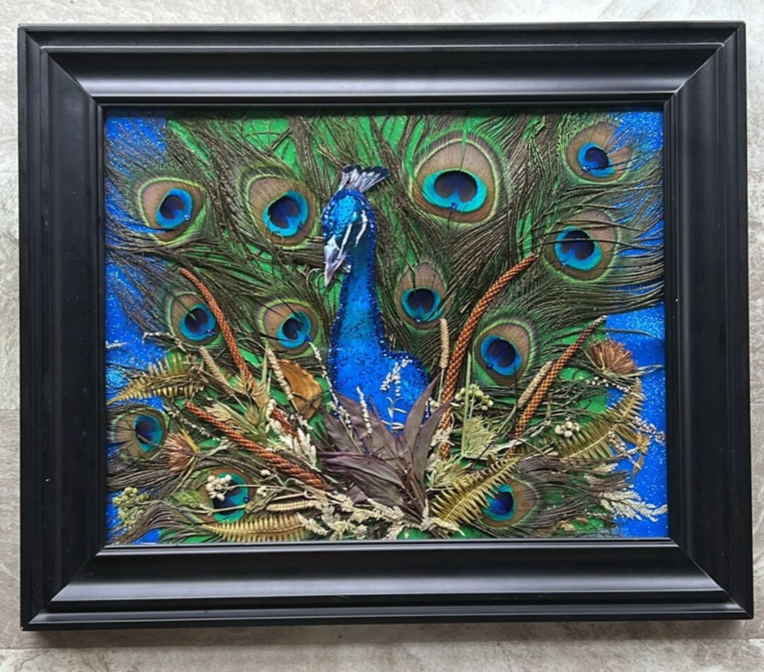 Peacock in Perfection - Etsy