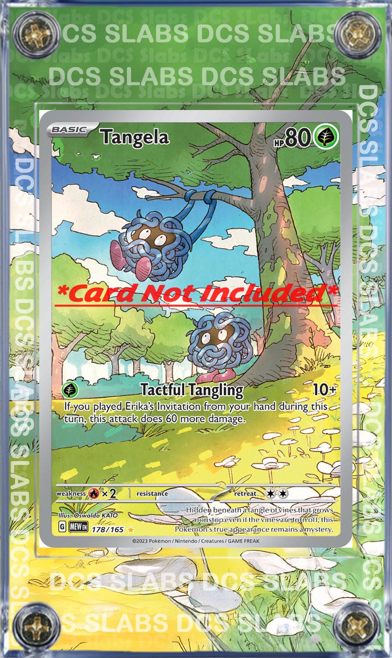 X5 Pokemon 151 IR Custom Display Cases - Pikachu Machoke Mr Mime ...
