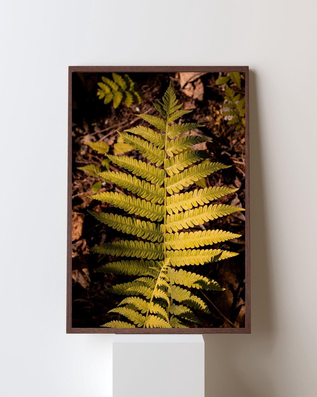 Printable Leaves Photography, Nature Fern Large Wall Art, Green Nature ...