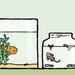 Fish Art Print: "isolated Elements" - Etsy