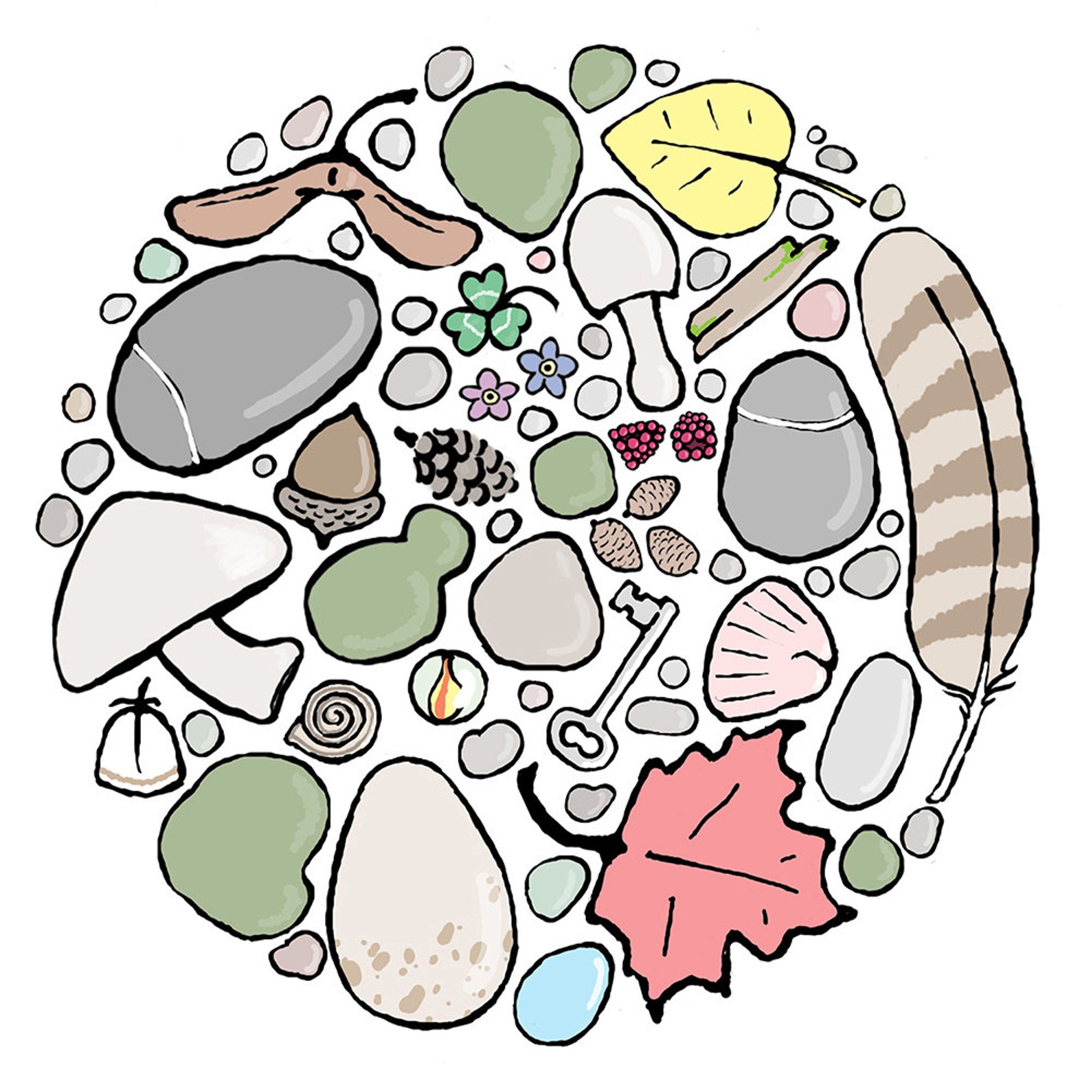 Nature Collection Art Print: "carefully Arranged" - Etsy