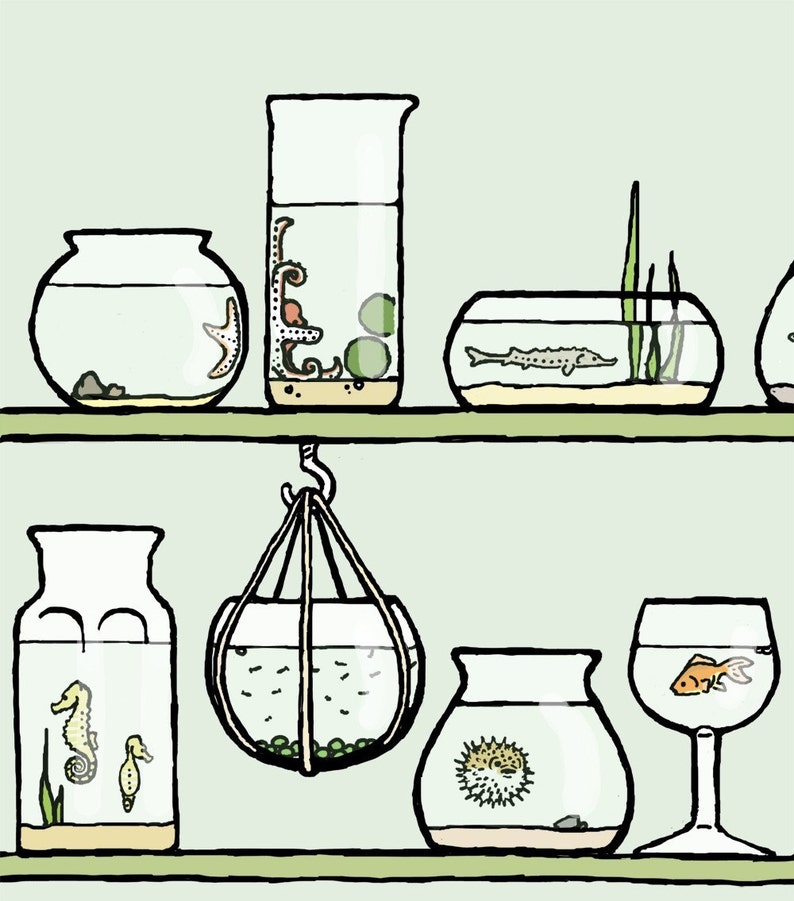 Fish Art Print: "isolated Elements" - Etsy