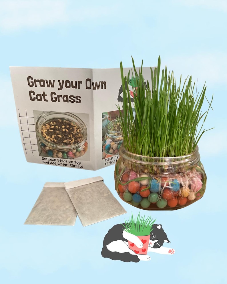 Hydroponic Cat Grass Grow Kit - Soil Free- Reusable- Non GMO, Grow Your ...
