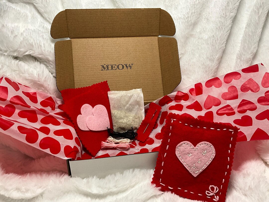 DIY Catnip Sachet Felt Craft Kit - Easy for Beginners - Etsy