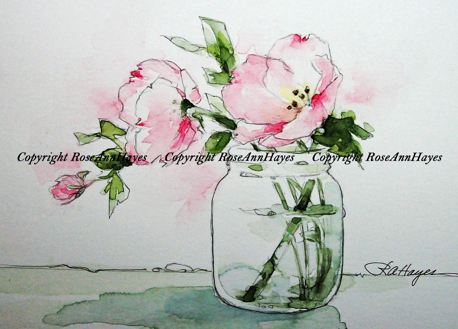 Pink Evening Primrose Drawing