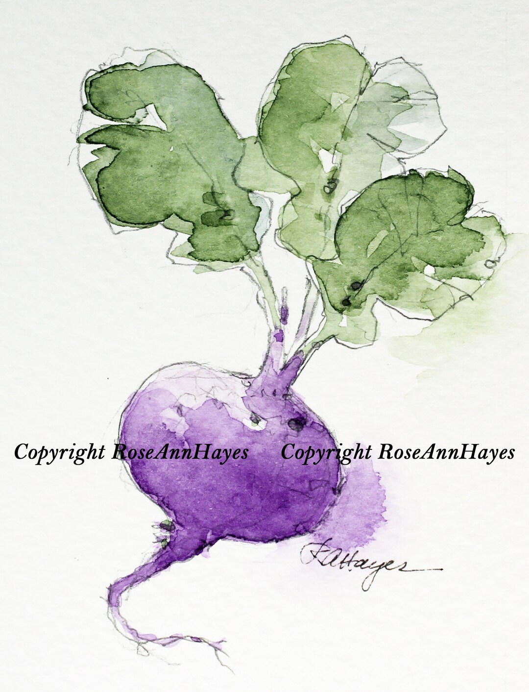 Kitchen Art Turnip Watercolor Painting, Original Vegetable, Gift for ...