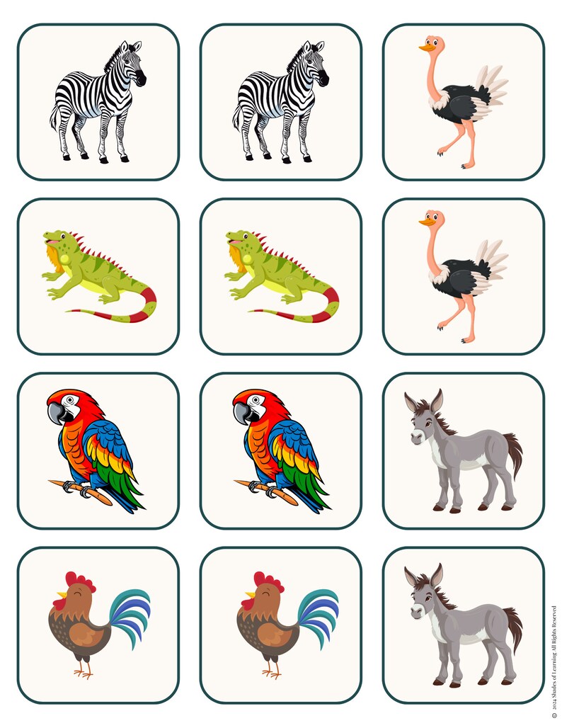 Noah's Ark Activity: Animal Matching| Biblical Learning Resource ...