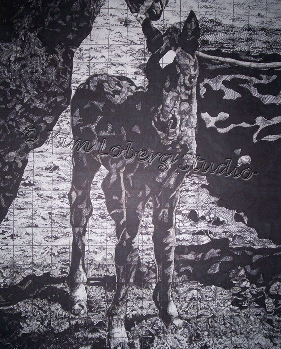 Black Beauty Pony Drawing Mare Colt Horse Equine Kim Loberg | Etsy