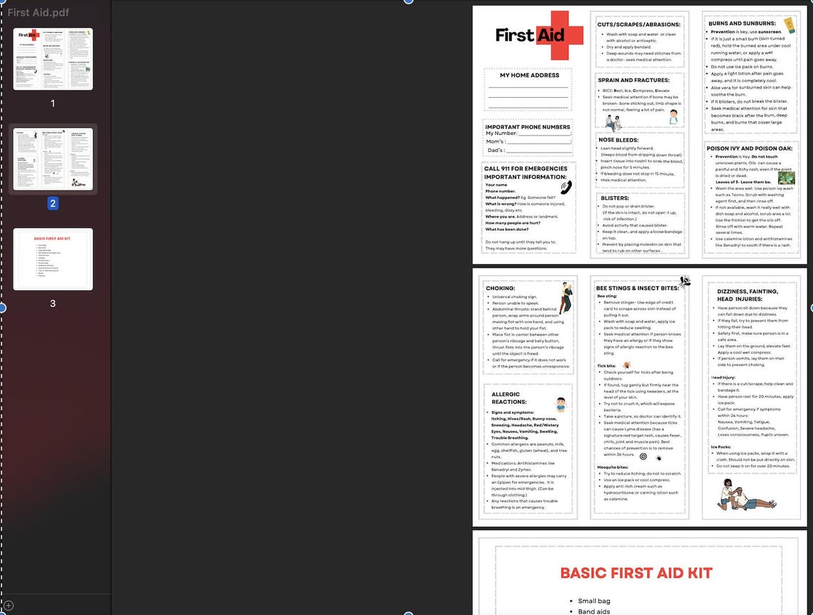 Basic First Aid Pamphlet, Great for Teaching Kids + Build a First Aid ...