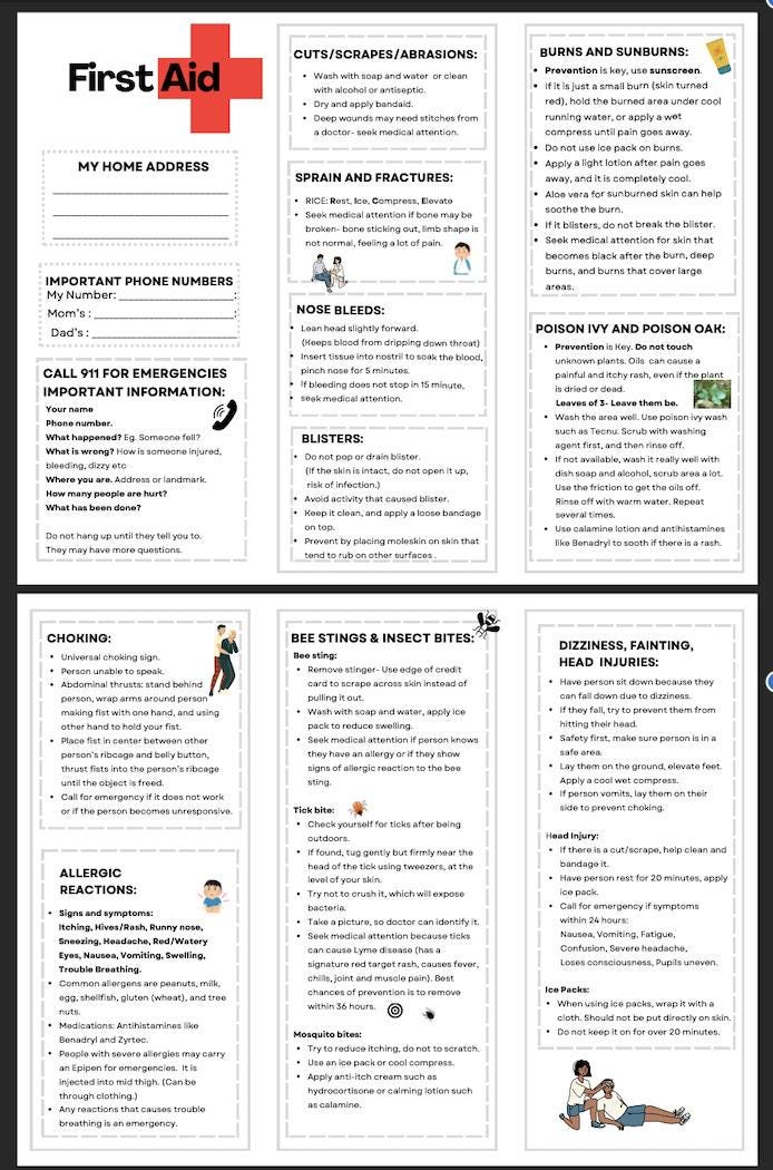 Basic First Aid Pamphlet, Great for Teaching Kids + Build a First Aid ...
