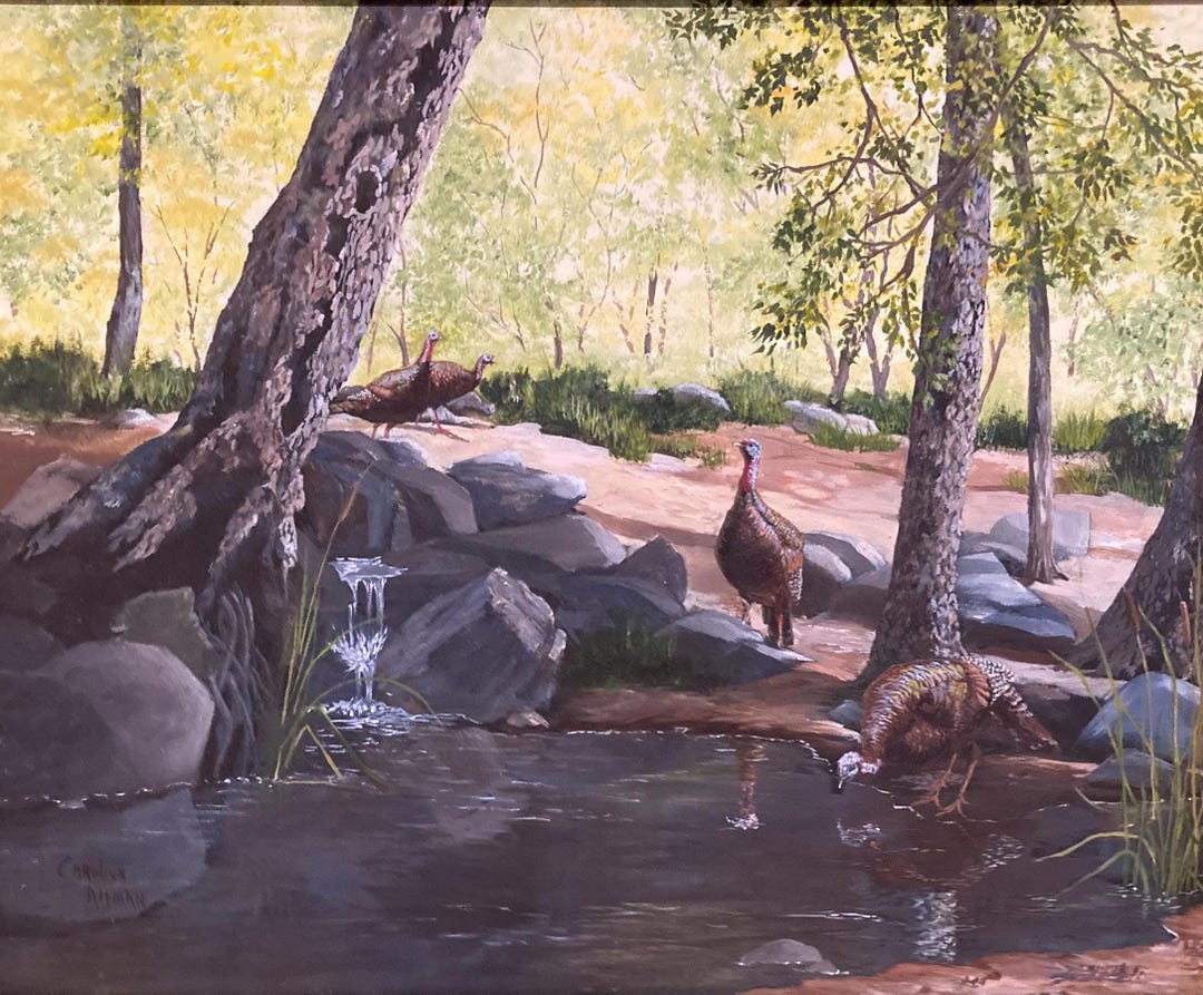 Turkey's Cool Drink of Water, Note Cards and Art Prints, Created From ...