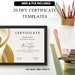 PLR Certificate Templates | Certificate of Completion, Excellence and ...