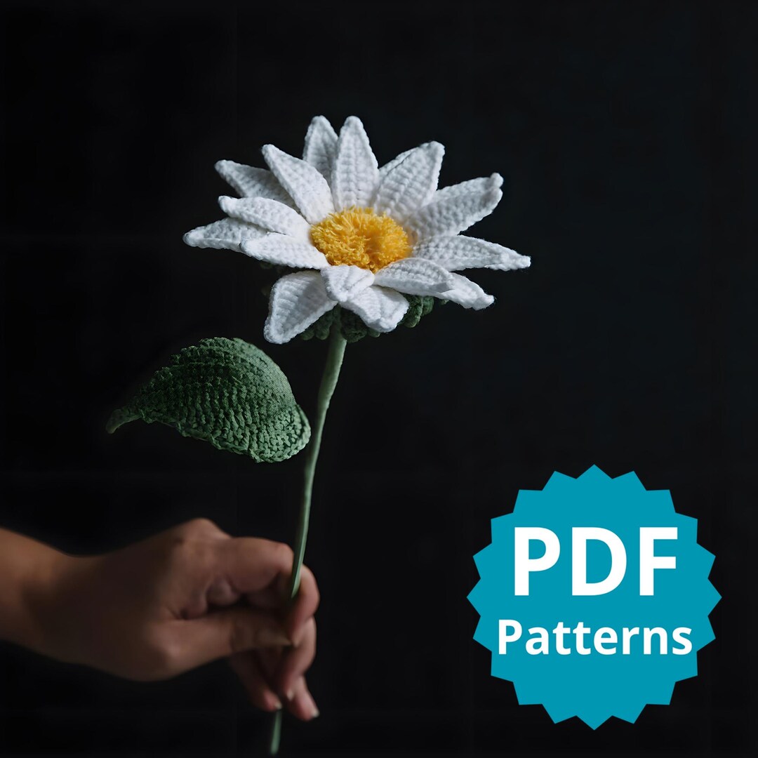 Oxeye Daisy Crochet Pattern (PDF) – Includes Video Tutorial - Etsy