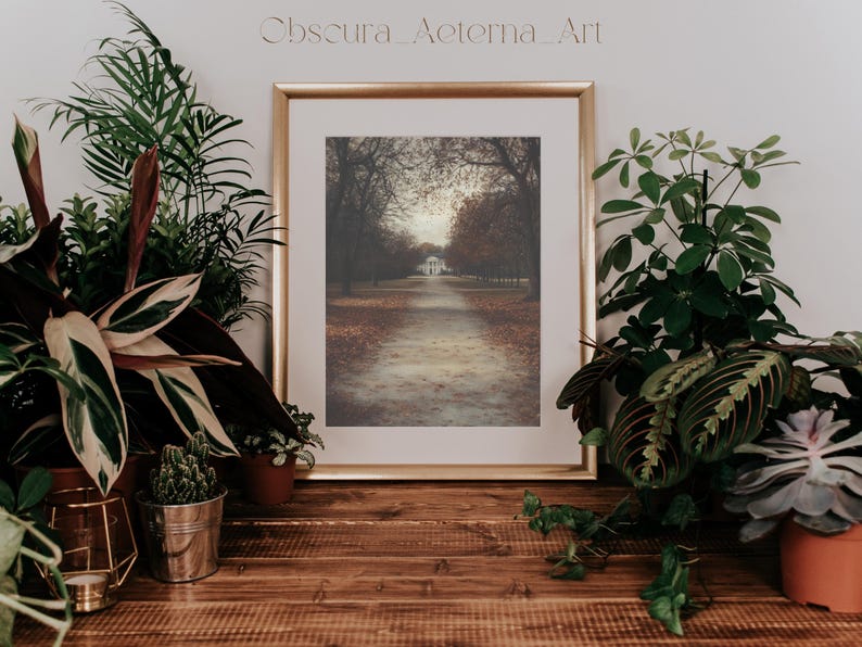 Enchanted Autumn Path | Dark Academia Printable, Moody Autumn Landscape ...