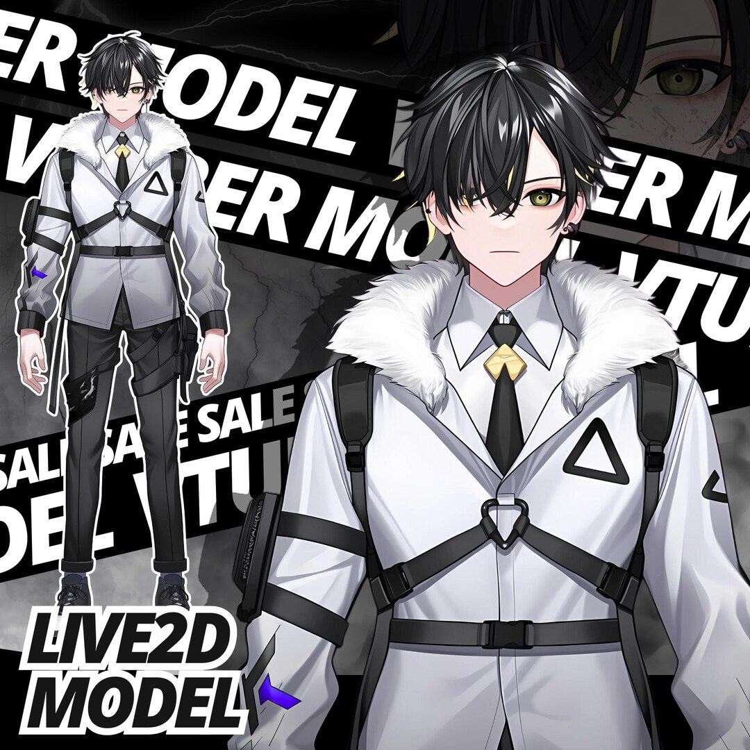Custom Vtuber Live2d Male, Vtuber Design, Vtuber Model, Vtuber ...