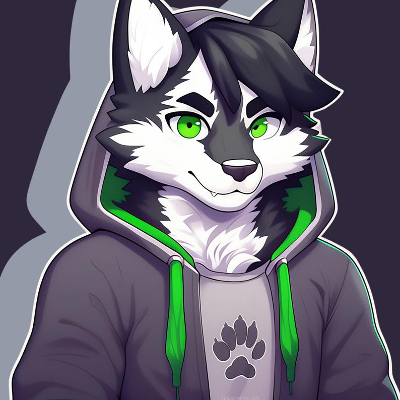 Custom Furry Art Commission, Personalized Fursona, Character Design - Etsy