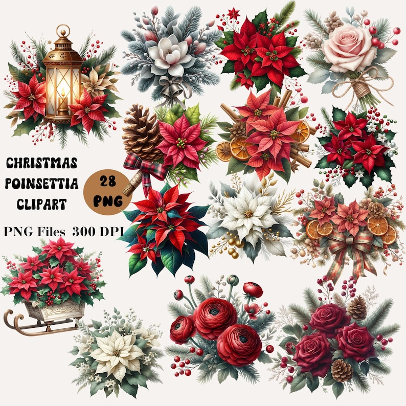 28 Christmas Poinsettia Clipart, Christmas Flowers PNG, Poinsettias ...