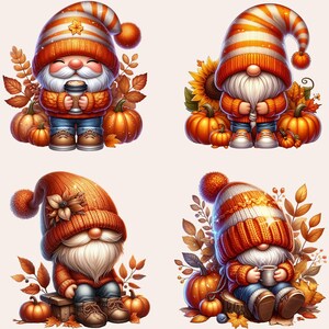 16 Fall Gnome Clipart, Pumpkin Gnome Clipart, Autumn Gnome PNG, Pumpkin ...