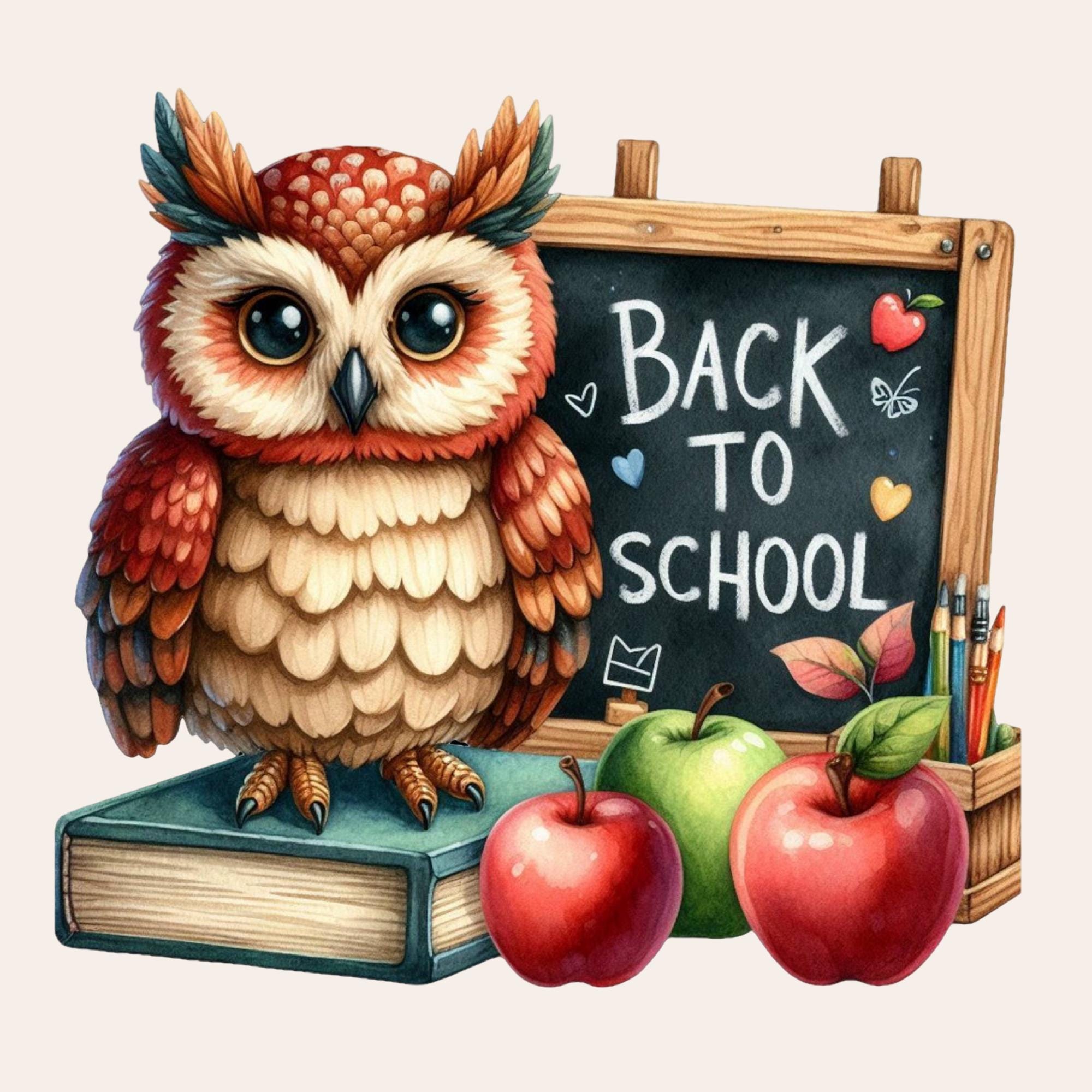 21 Back to School Owl Clipart, Cute School Owl Clipart, Educational Owl ...