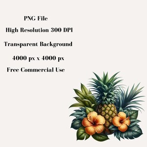 12 Pineapple Clipart, Summer Fruits Clipart, Tropical Pineapple Clipart ...