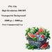 15 Summer Watermelon Clipart, Watermelon PNG Bundle, Summer Fruits ...