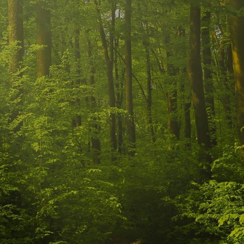 Follow Your Own Path - Etsy