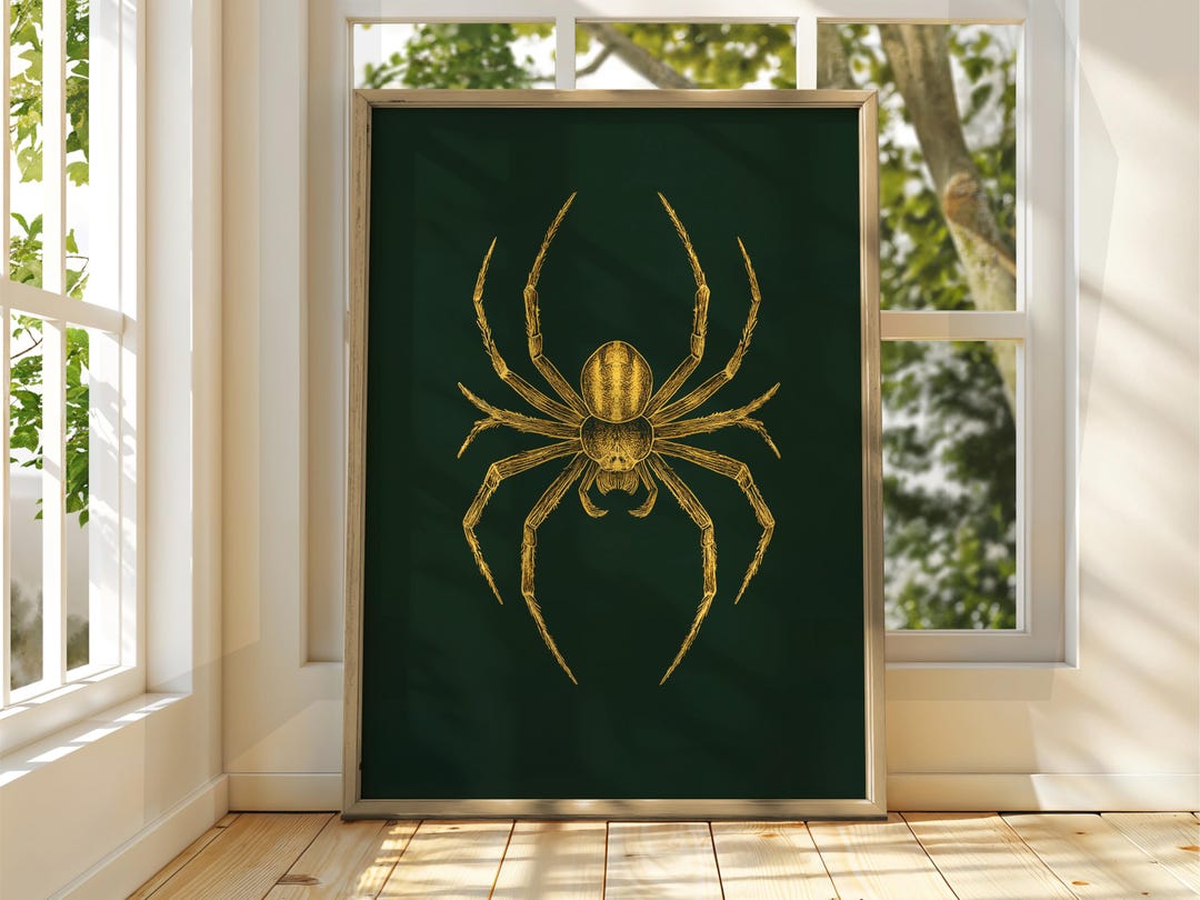 Bold Spider Poster - Spider Wall Art - Animal Illustration - Bold Art ...