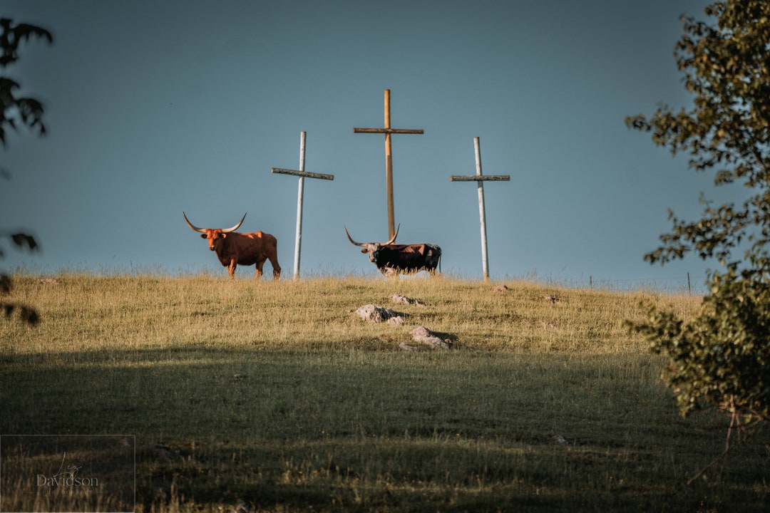 Three Wooden Crosses and Long Horns Wall Art - Etsy